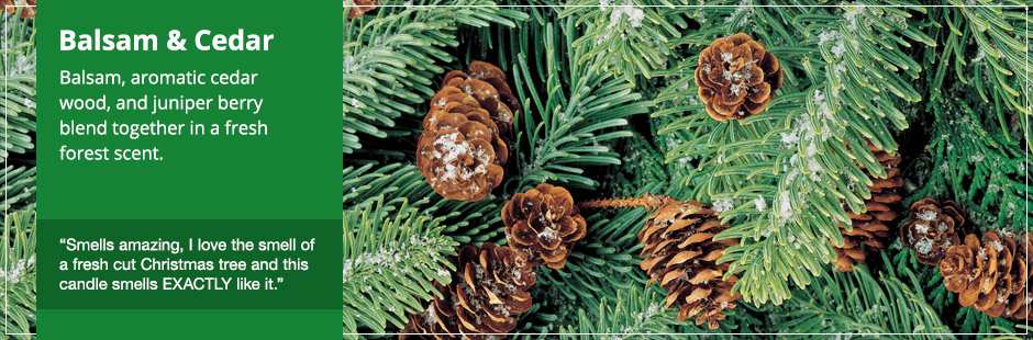 Balsam & Cedar Candles | Yankee Candle